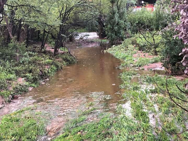 Celebran 83 aniversario de declaratoria de Majalca como Parque Nacional ...