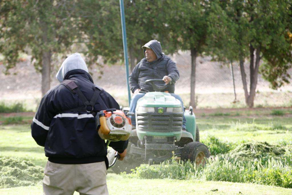 Explica proceso para florecimiento de árboles en primavera | El Bordo