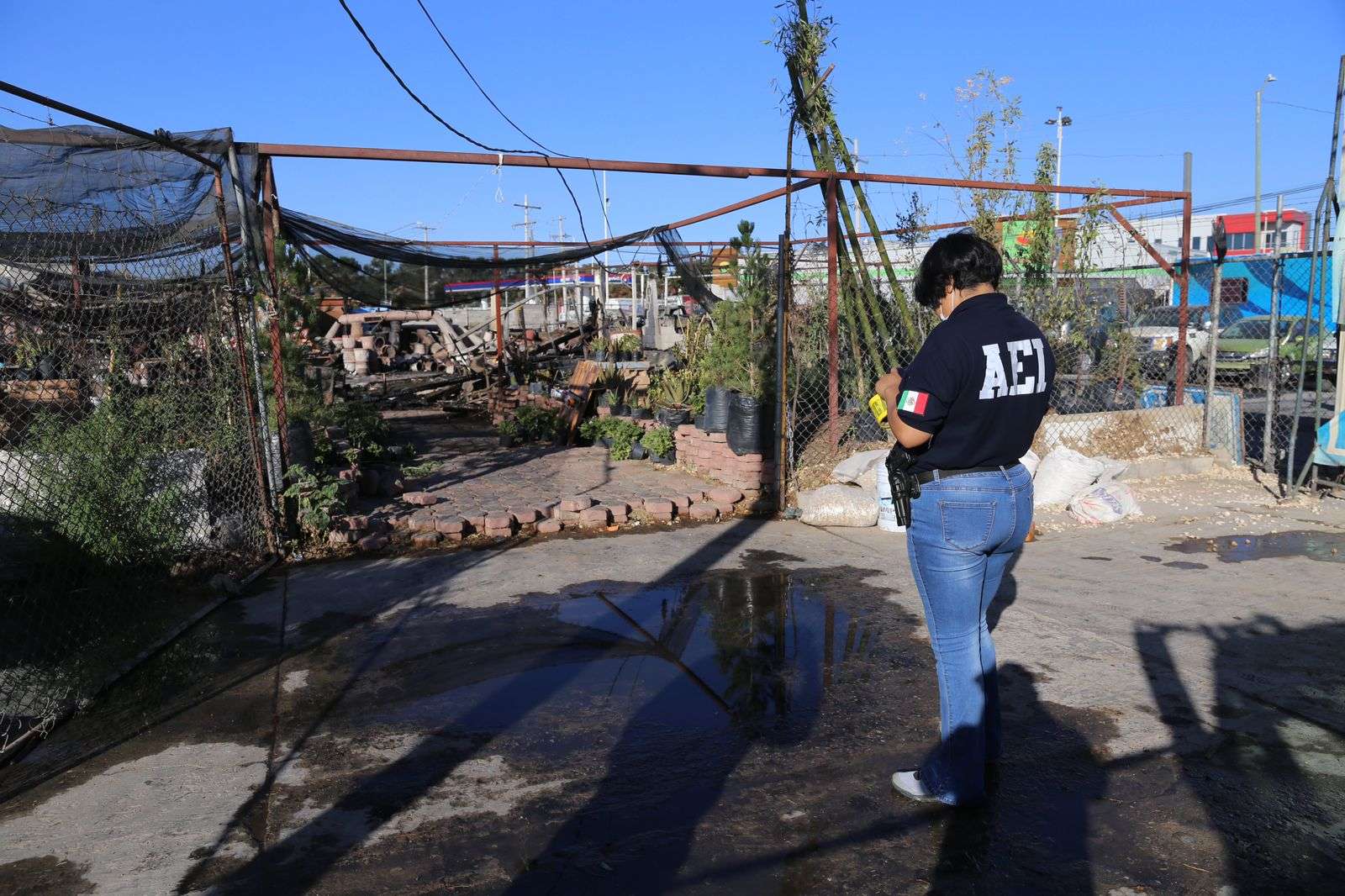 Investigan autoridades vivero consumido por incendio en la Gómez Morín ...