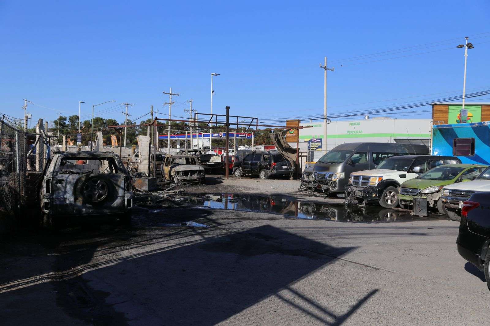 Investigan autoridades vivero consumido por incendio en la Gómez Morín ...