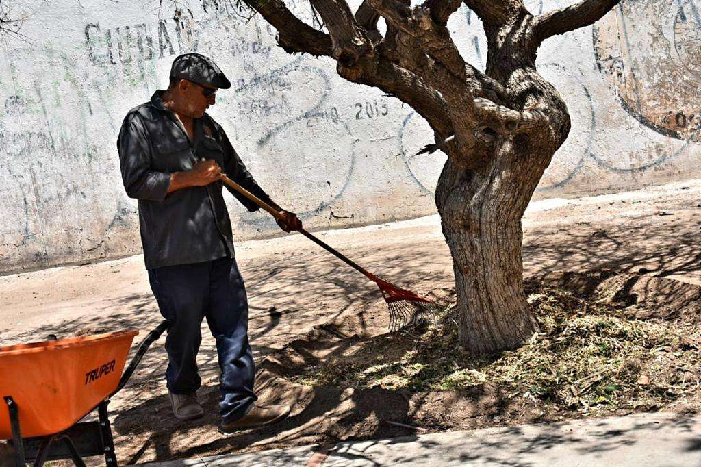 Mejoran espacios verdes del Parque Borunda | El Bordo