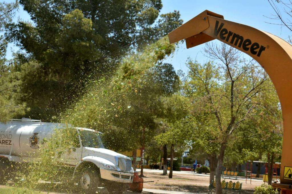 Mejoran espacios verdes del Parque Borunda | El Bordo