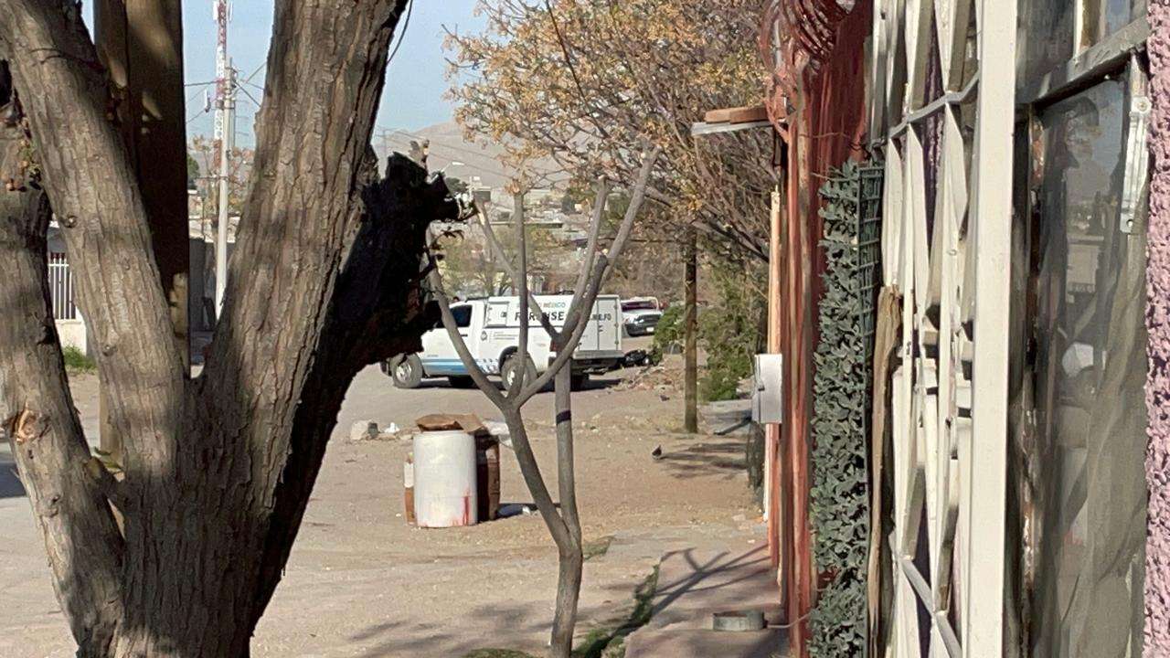 Encuentran Cuerpo Descuartizado En La Colonia Ampliación Alcaldes El