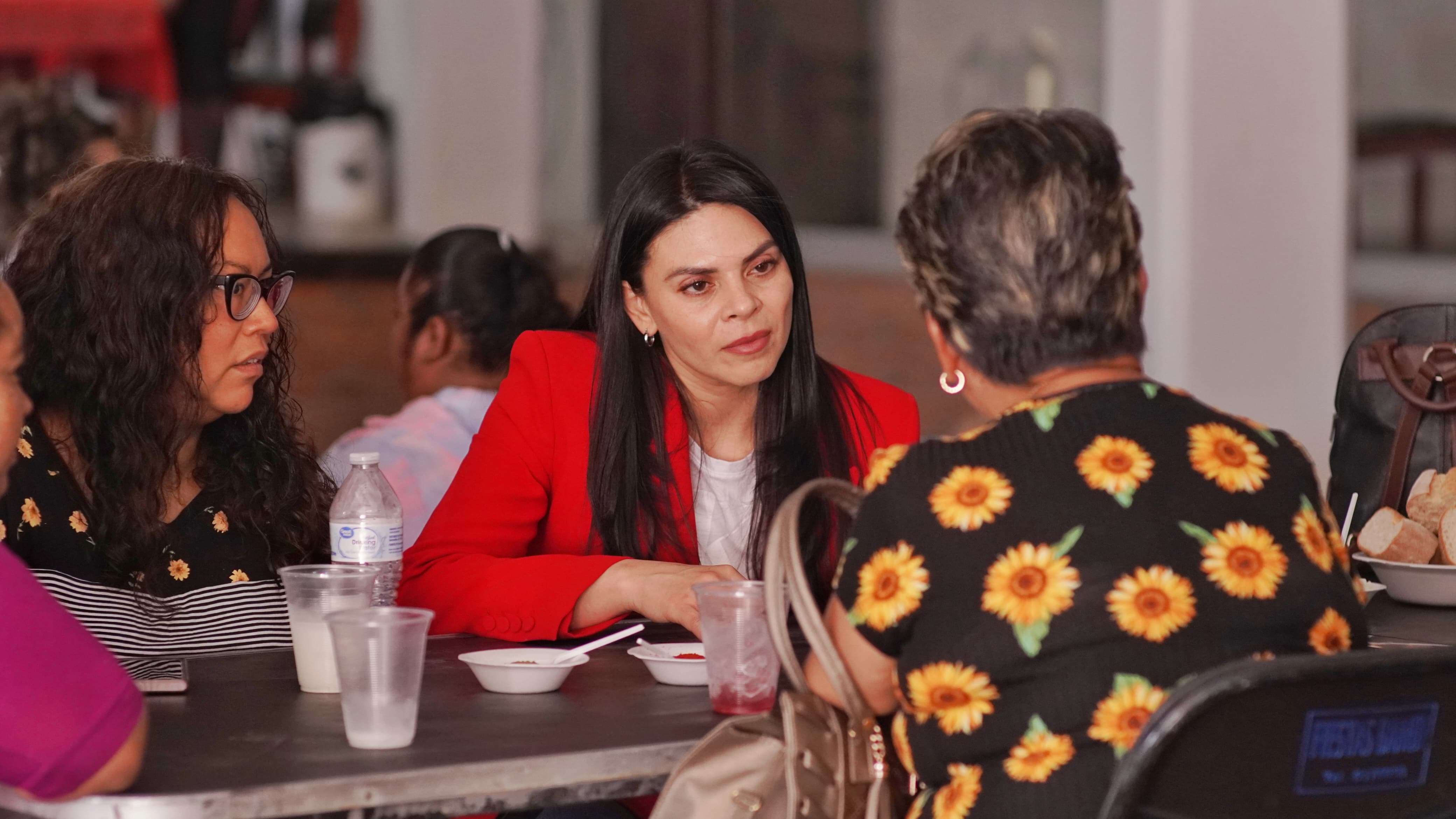 Se reúne Austria Galindo con presidentes seccionales del Pri | El Bordo