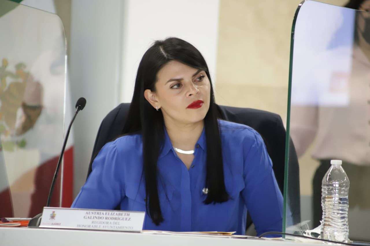 Suben publicidad de Austria fuera de tiempo; se deslinda | El Bordo