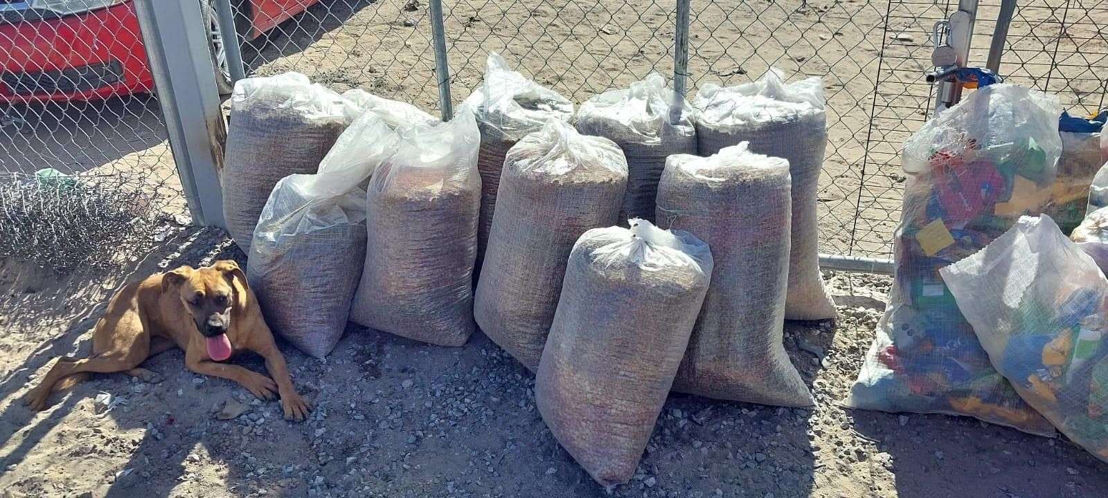 Plantel 6 del COBACH se une a campaña "De libros a ladridos" | El Bordo