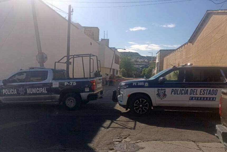 Muere mujer atacada por perro pitbull en Parral | El Bordo