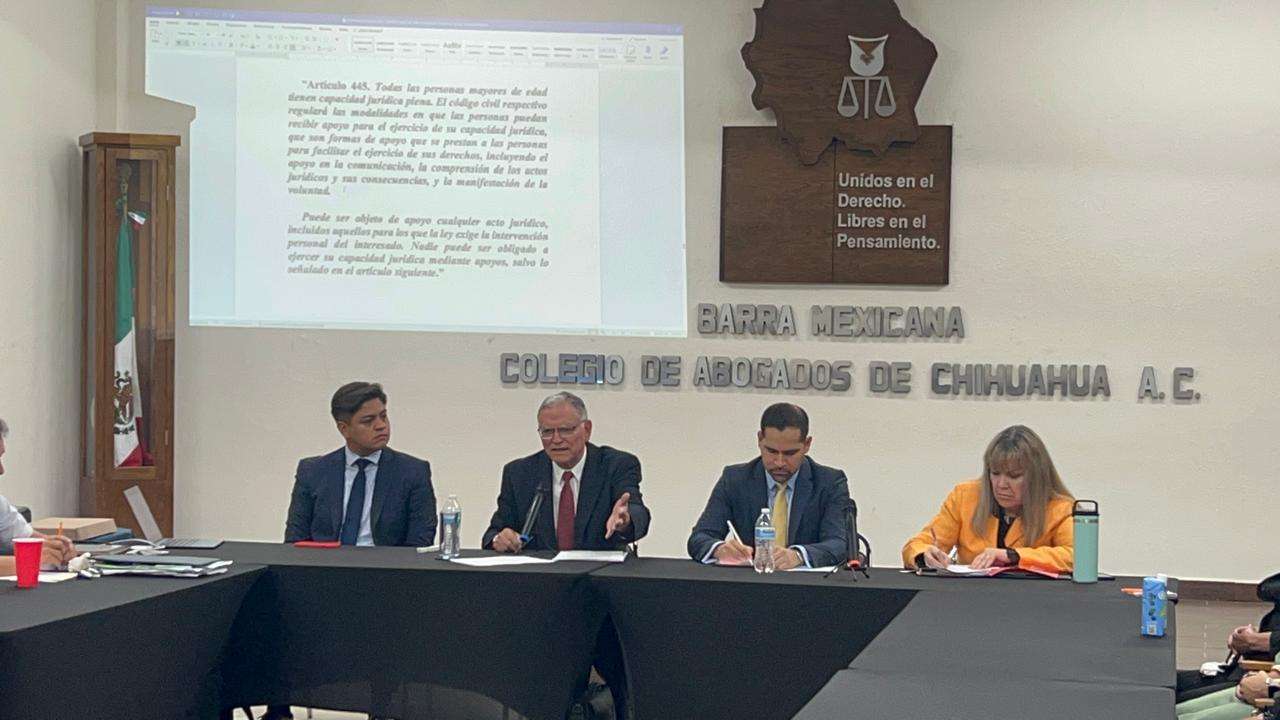 Analiza Anchondo Paredes inclusión de la discapacidad en código civil ...