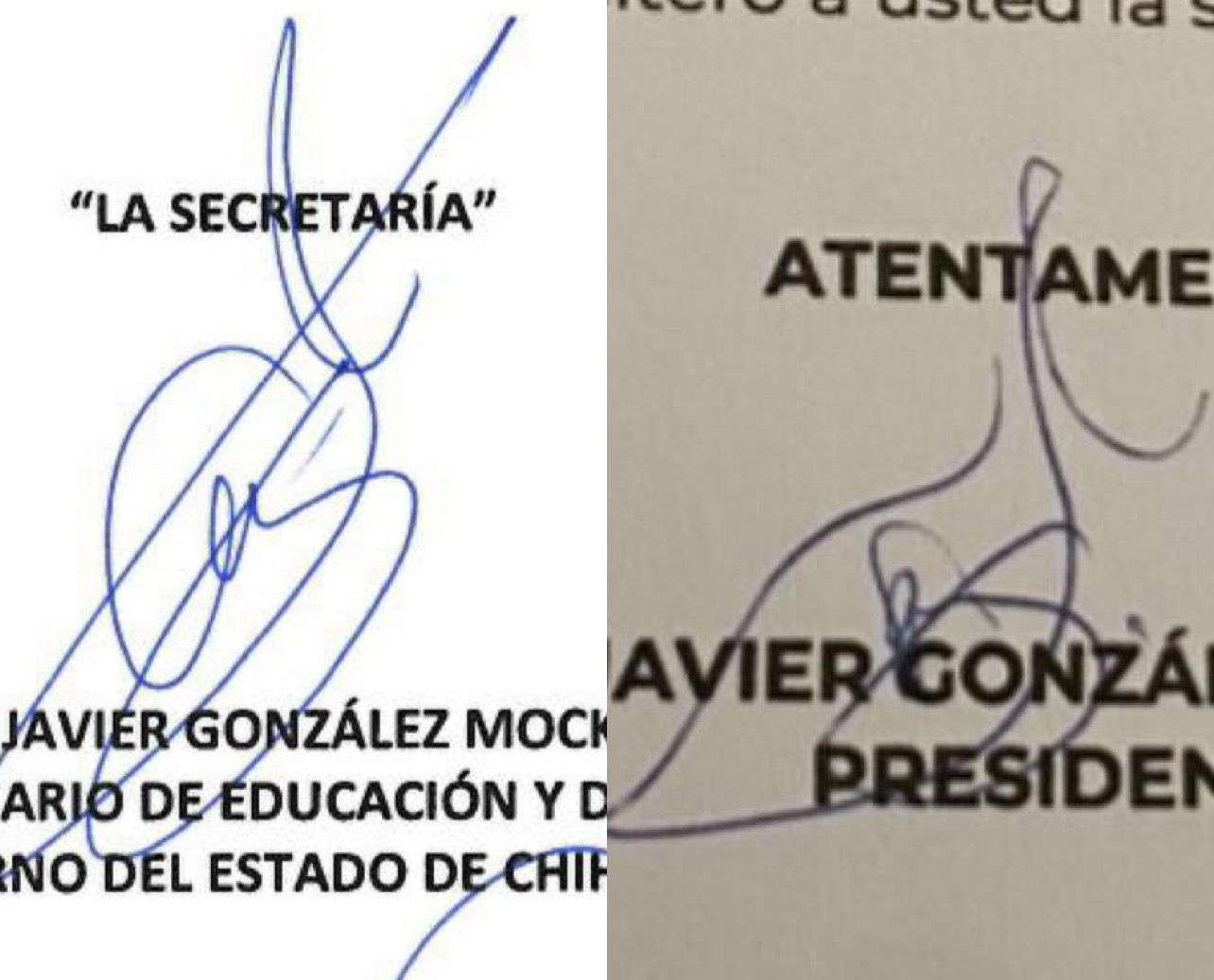 Exhiben firma apócrifa en nombramiento de la Cedh | El Bordo