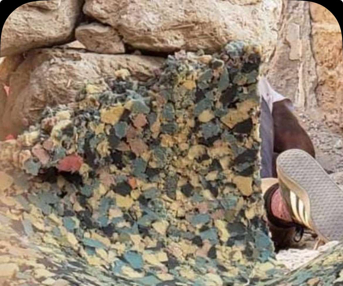 Hallan cuerpo sin vida de una mujer detrás de Foxconn de la Óscar Flores | El Bordo