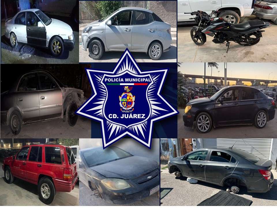Recuperan el fin de semana nueve vehículos con reporte de robo | El Bordo
