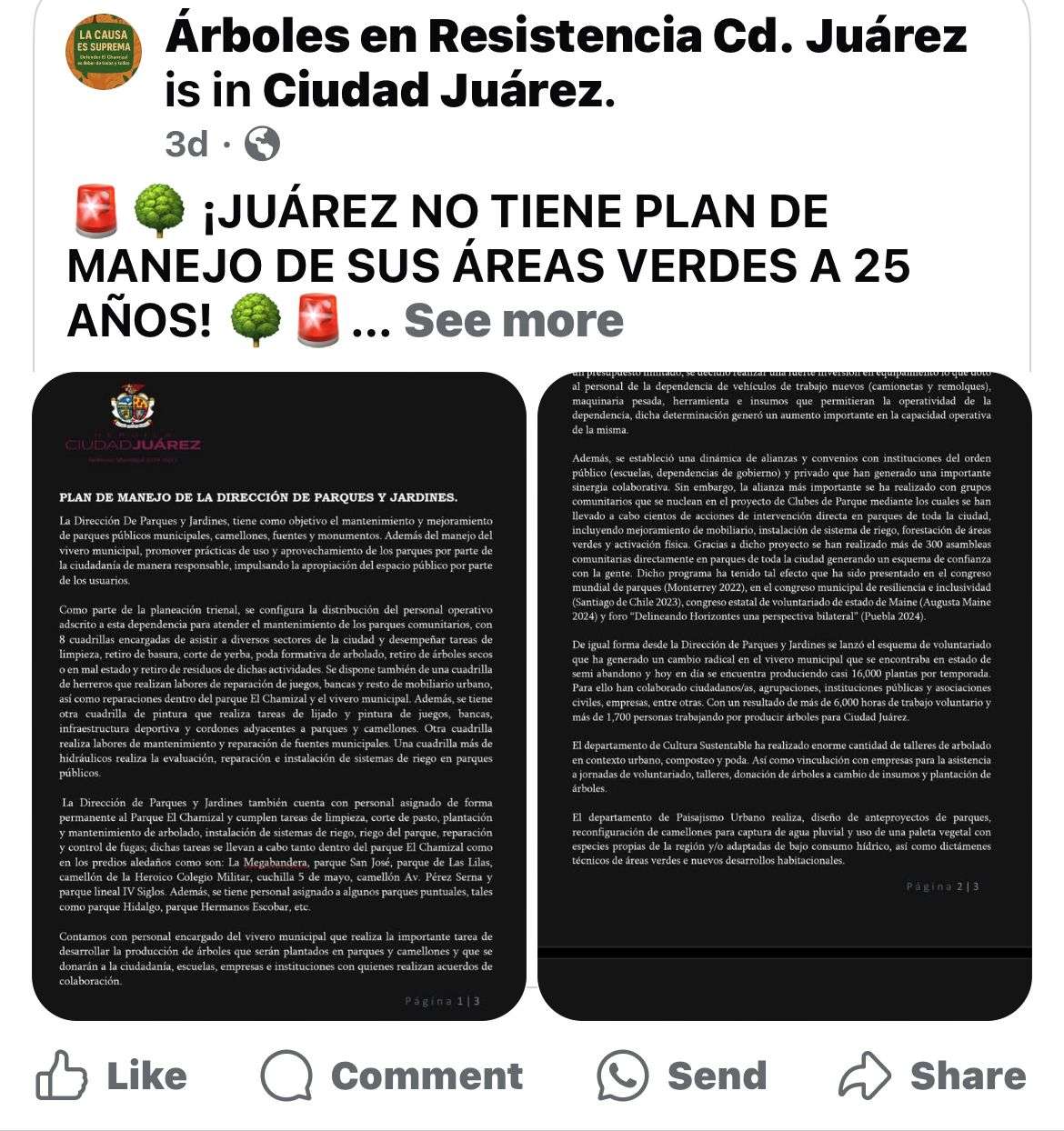 Carece Juárez de un Plan de Manejo de Áreas Verdes | El Bordo