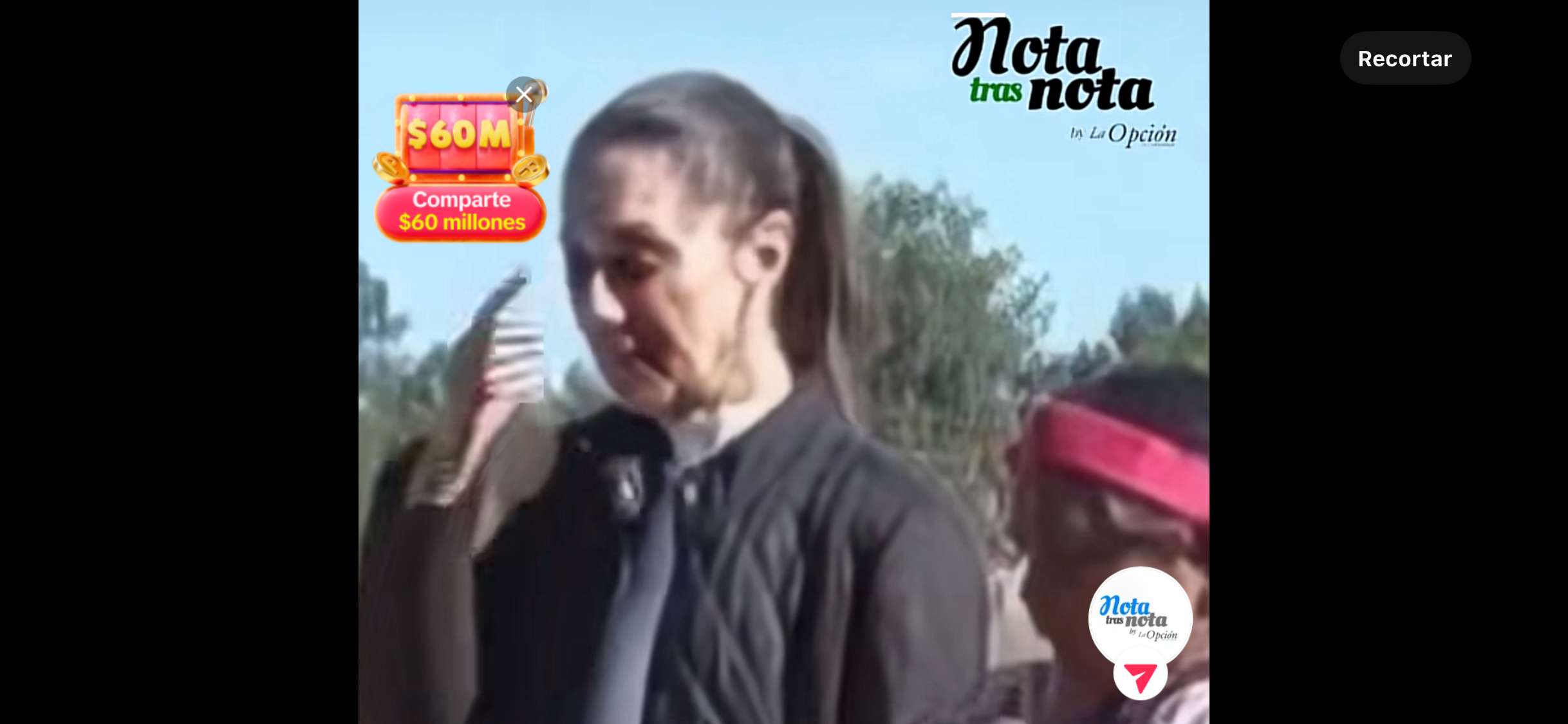 LA PERSIGNACIÓN | El Bordo